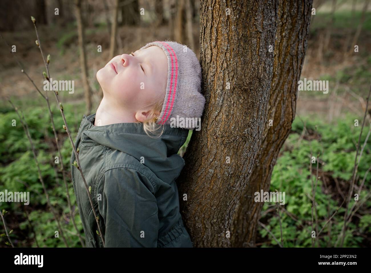 Energy Of Tree Girl Charged With Positive Energy Of Tree Feeling Interaction With Nature And