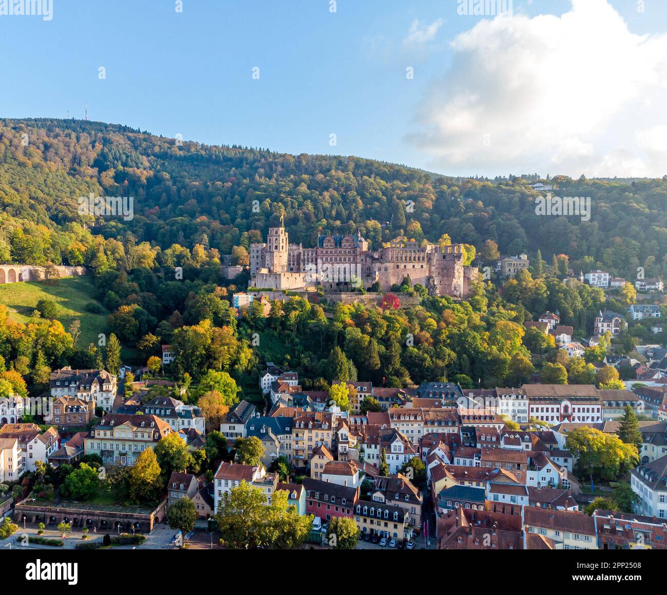 Panorama on Heidelberg. Castle, Neckar river, bridge. Baden Wurttemberg ...