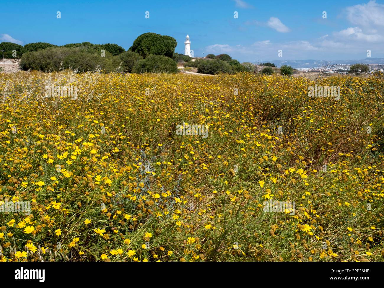Paphos Archaeological Park and lighthouse, Unesco World Heritage site ...
