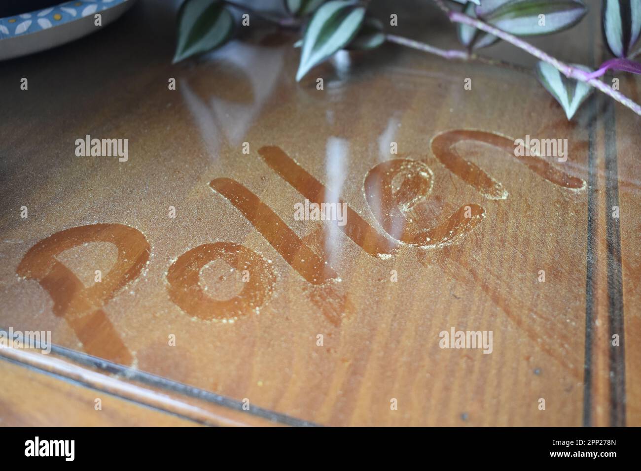The word "pollen" is written in pollen that has collected on a glass ...