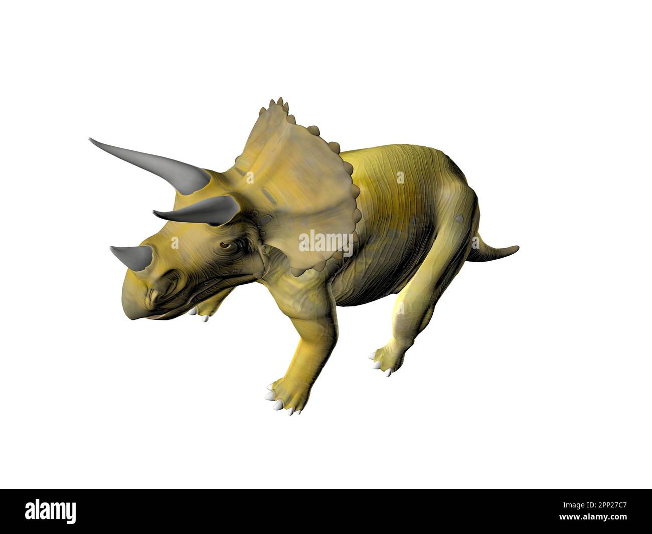 Triceratops an ancient jurassic extinct reptile Stock Photo - Alamy