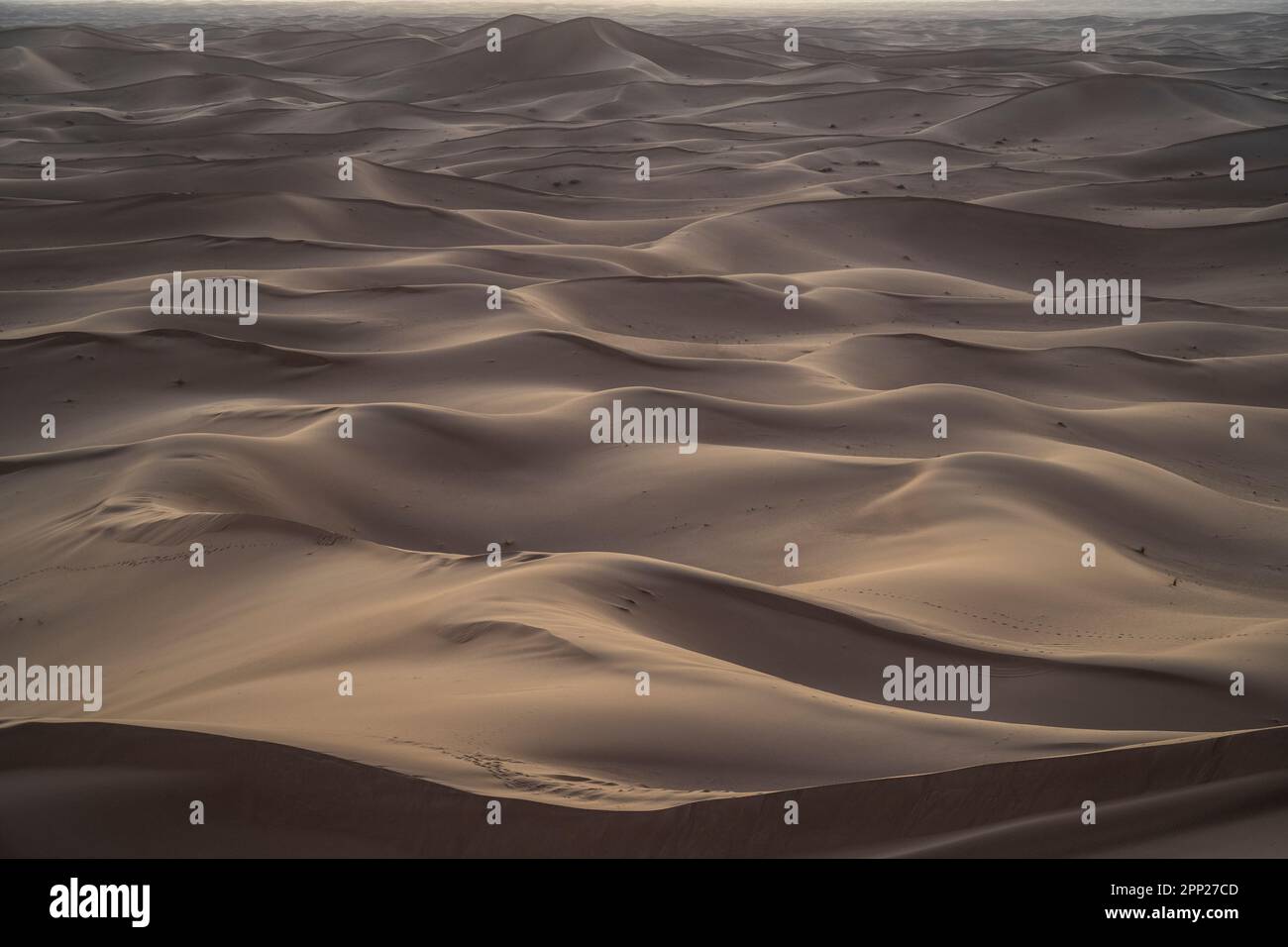 Harsh desert sun hi-res stock photography and images - Alamy