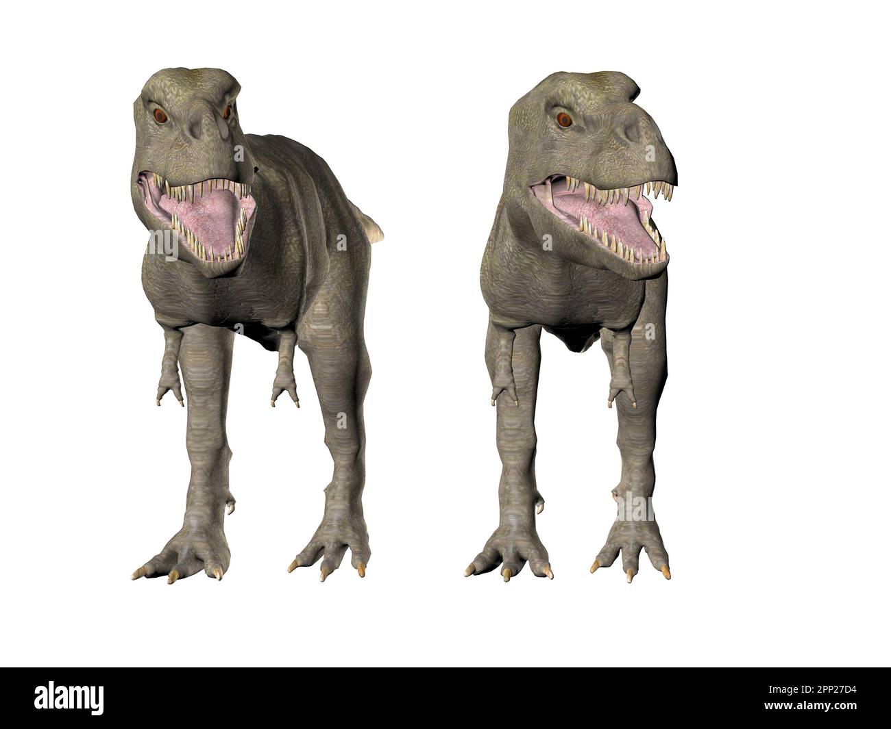 An illustration of the dinosaur Tyrannosaurus Rex Stock Photo - Alamy