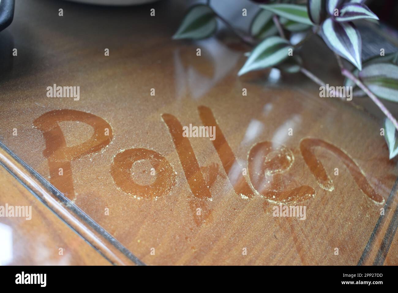 Allergy pollen window hi-res stock photography and images - Alamy