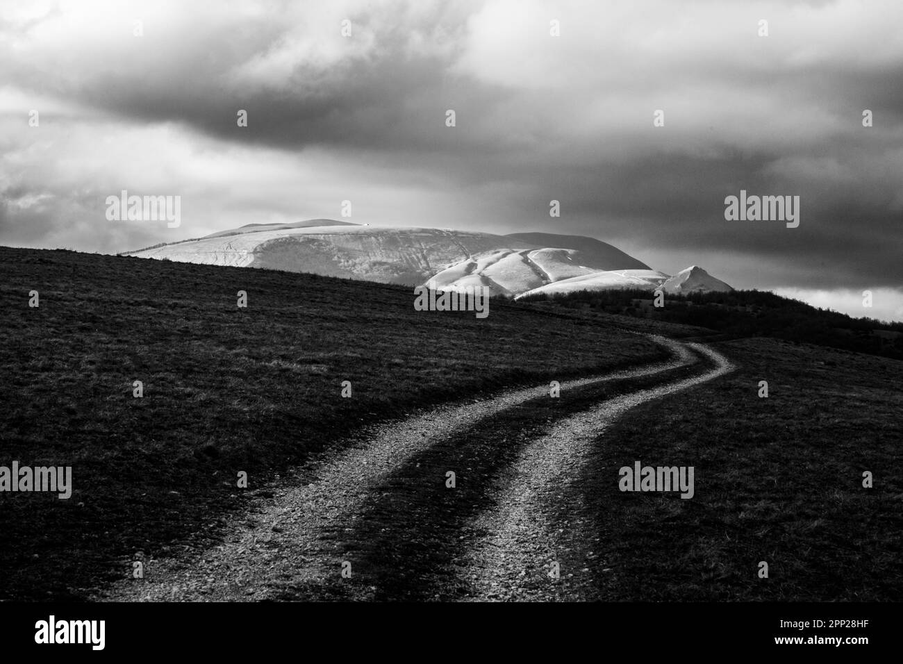 Path beneath Black and White Stock Photos & Images - Alamy