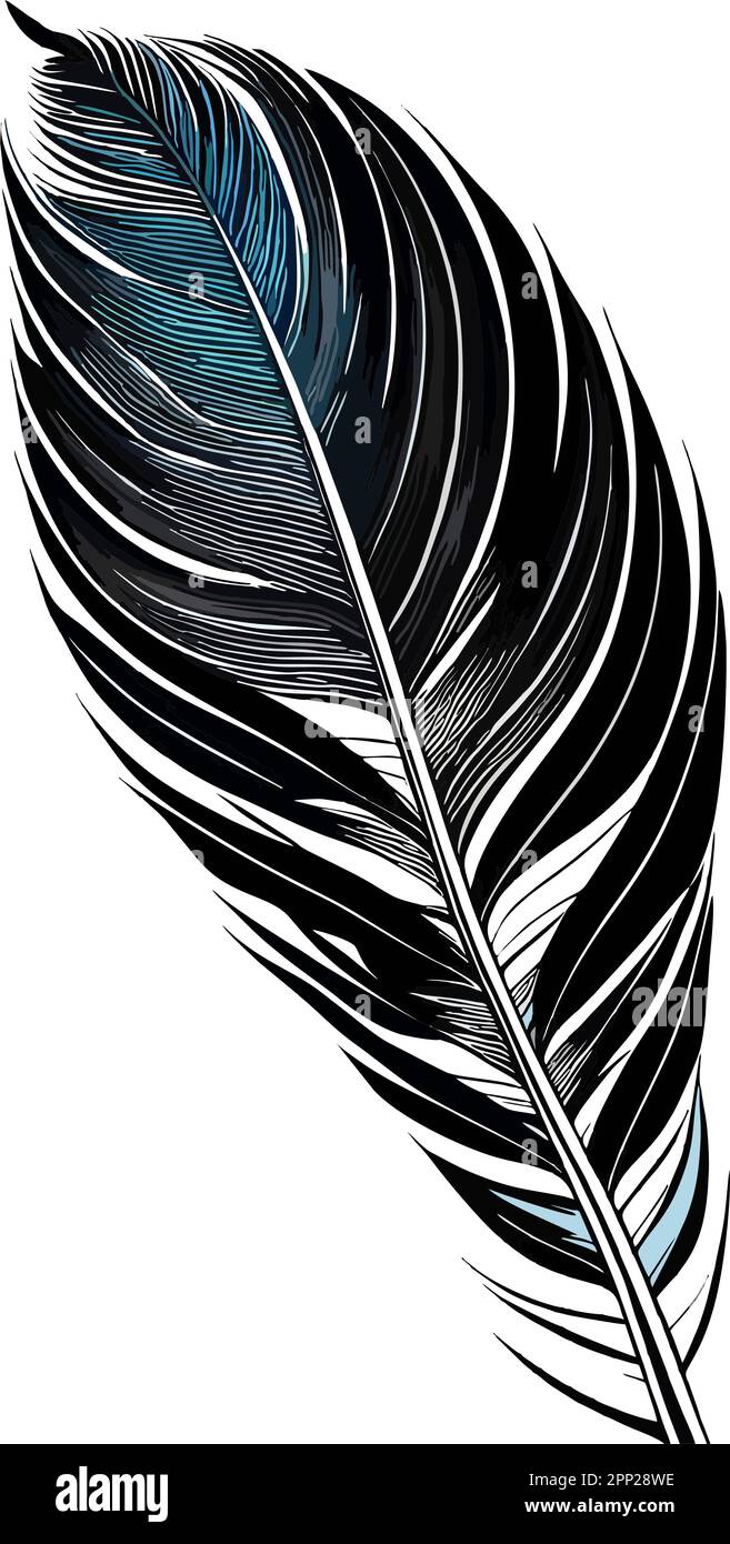 simple graphic drawing black and blue bird feather, sketch, logo Stock ...