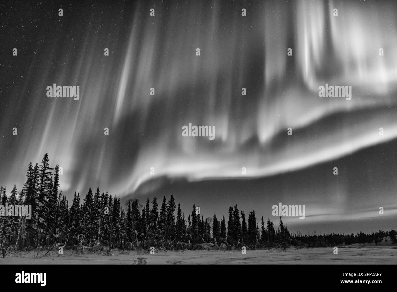 Aurora borealis Black and White Stock Photos & Images - Alamy