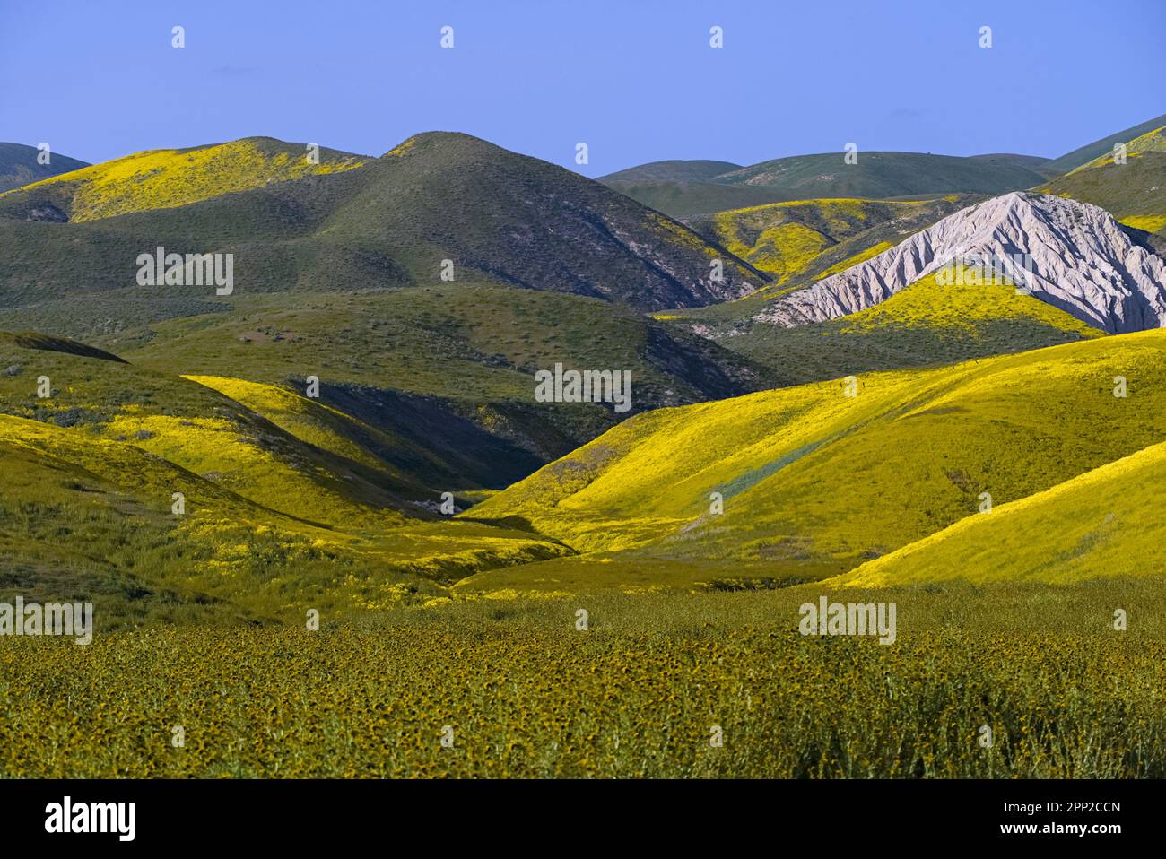 Bank plain hi-res stock photography and images - Alamy