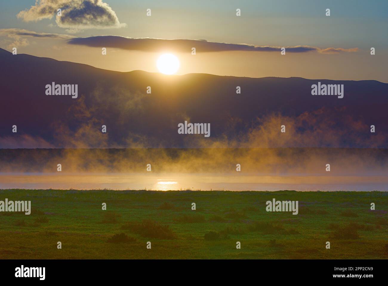 Green glass field, lake and mountains in the morning mist Stock Photo ...