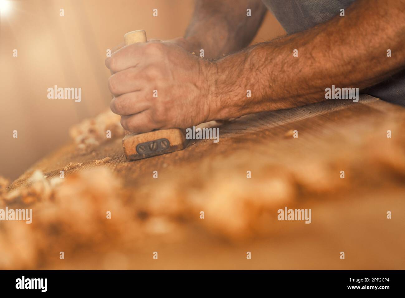The wood artisan, a robust and strong man known as a carpenter, hand ...
