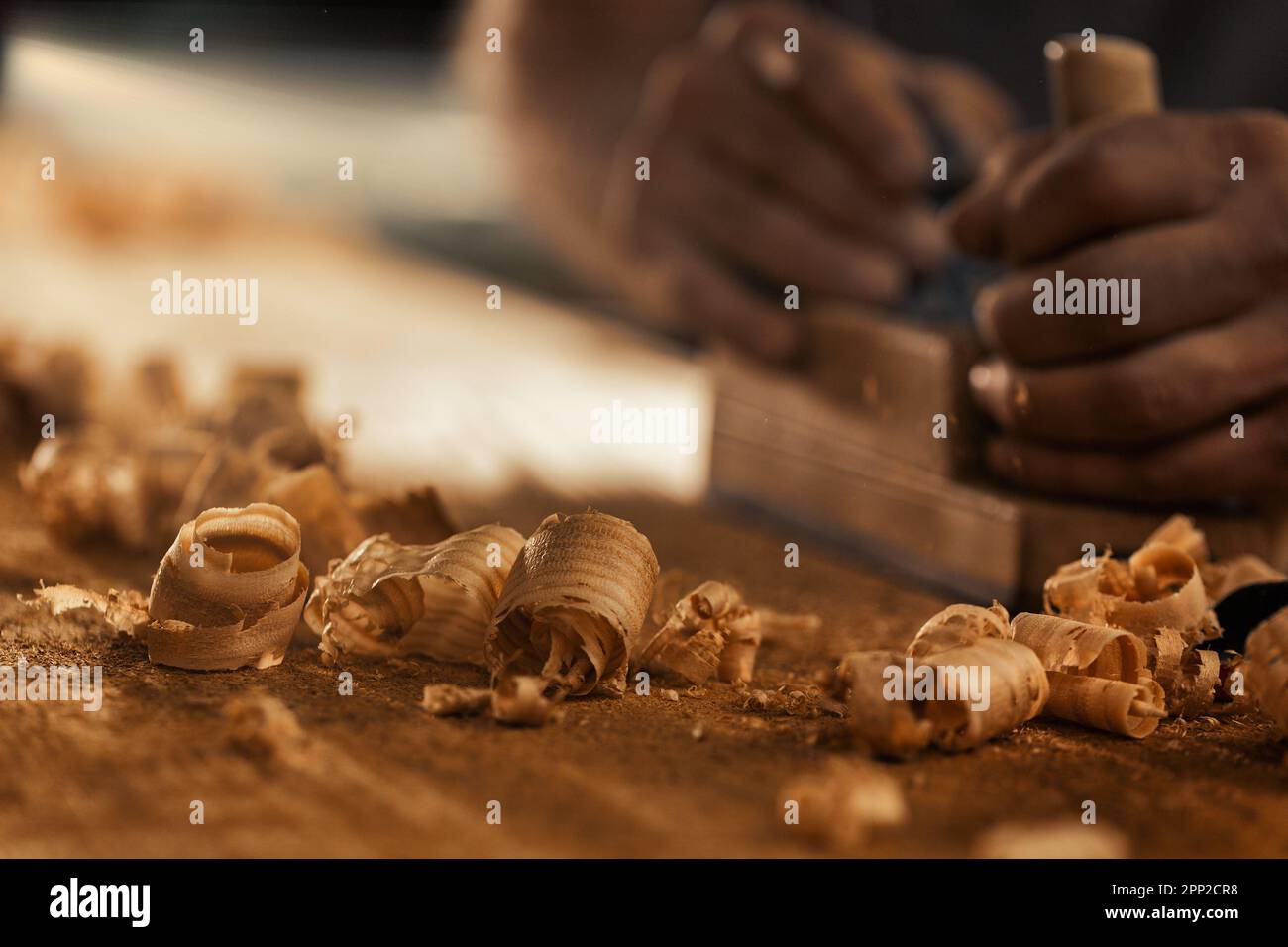 The wood artisan, a robust and strong man known as a carpenter, hand ...