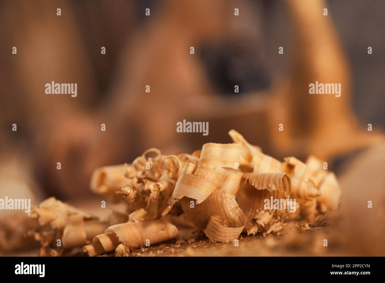 The wood artisan, a robust and strong man known as a carpenter, hand ...