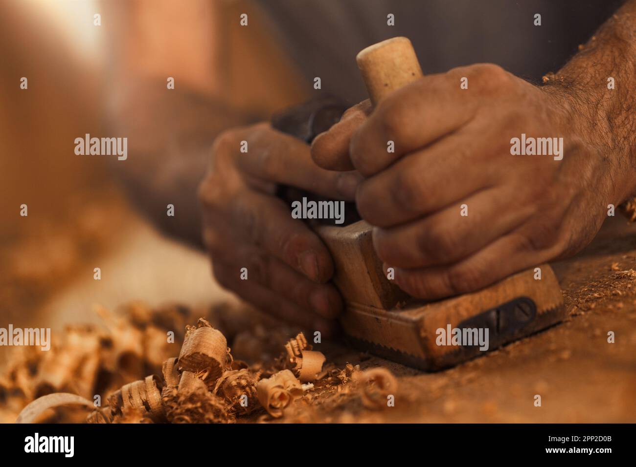 The wood artisan, a robust and strong man known as a carpenter, hand ...