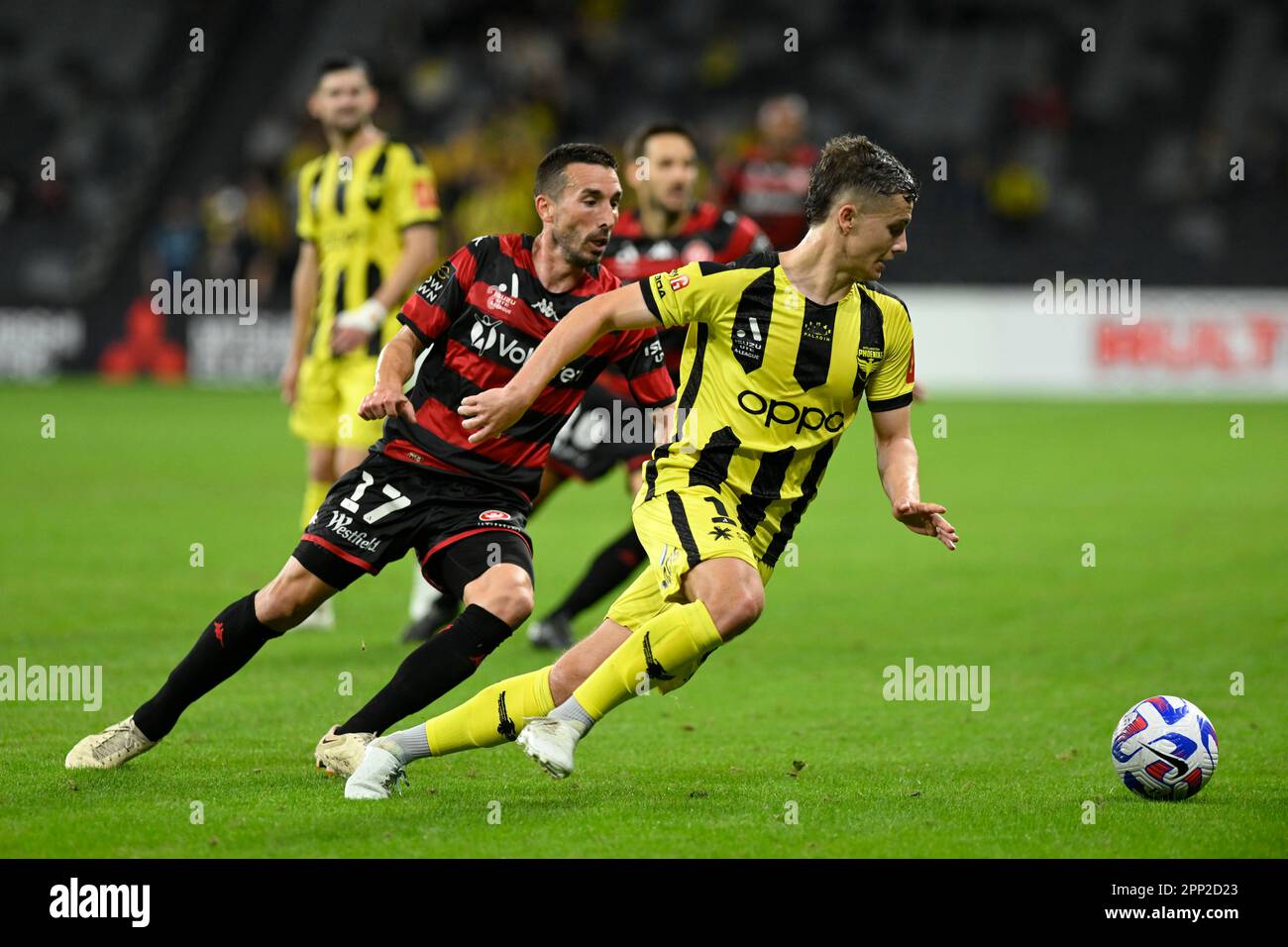 Callan elliot wellington phoenix hi-res stock photography and images ...