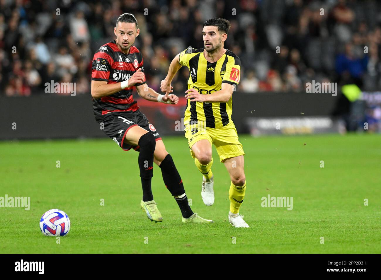 Amor layouni hi-res stock photography and images - Alamy