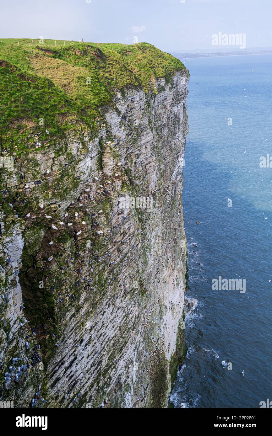 Wilderness england hi-res stock photography and images - Alamy