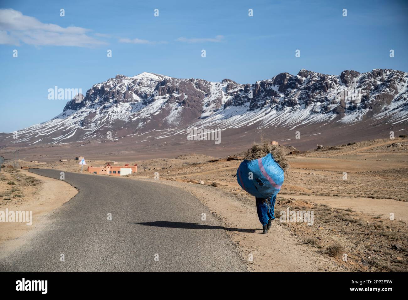 Berber woman carrying a large bundle of firewood on the rural road of ...