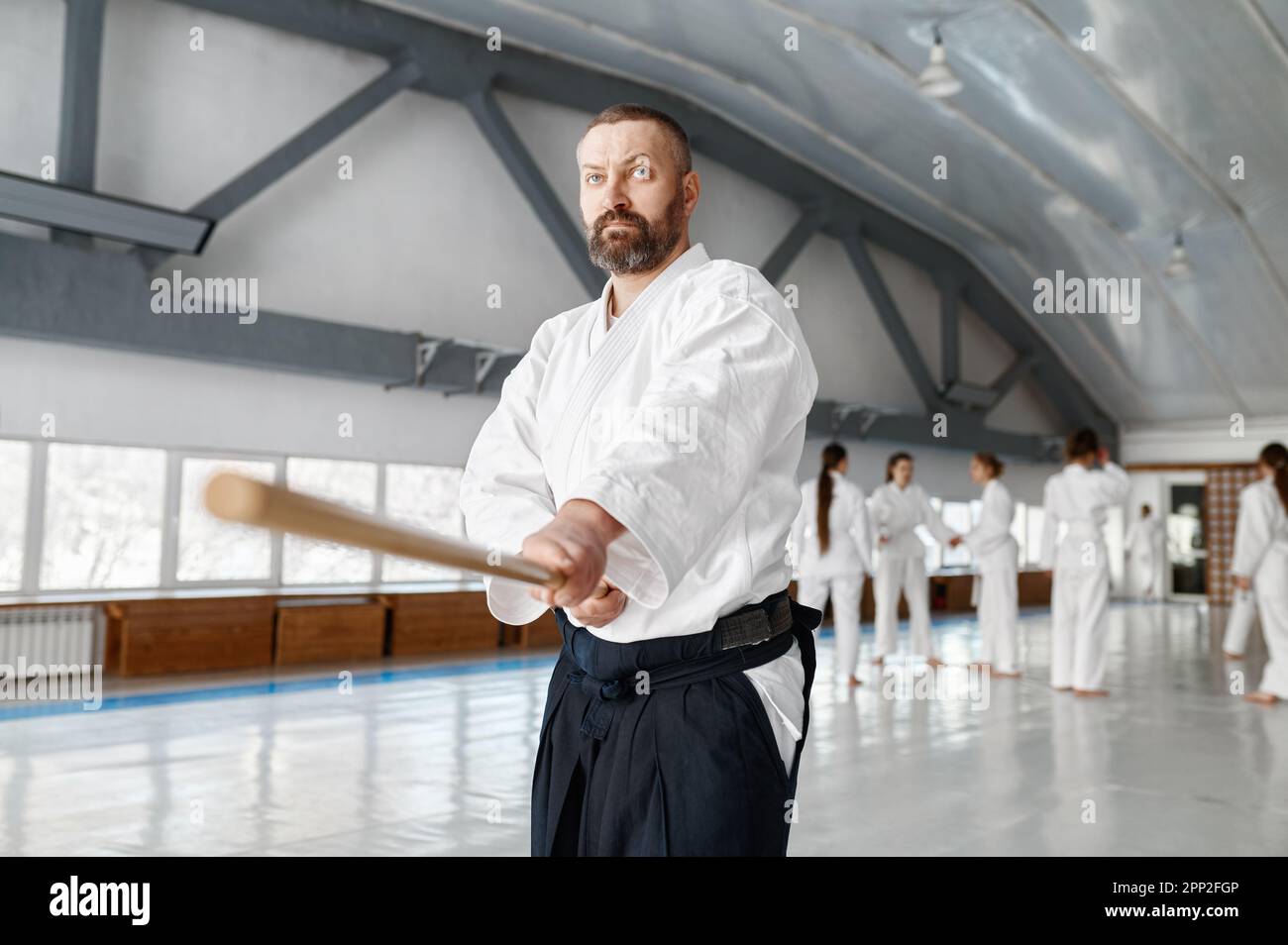 Aikido sensei master with wooden sword at group training Stock Photo ...