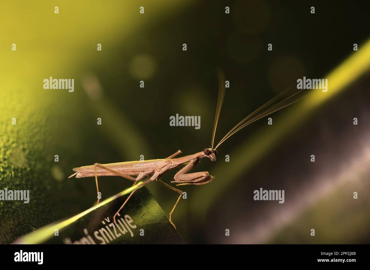 Night themes hi-res stock photography and images - Alamy