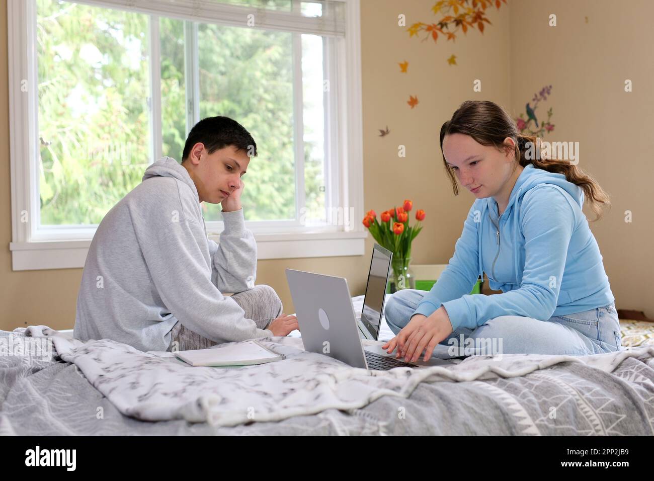 teenagers brother sister study online at school sit in the same room ...