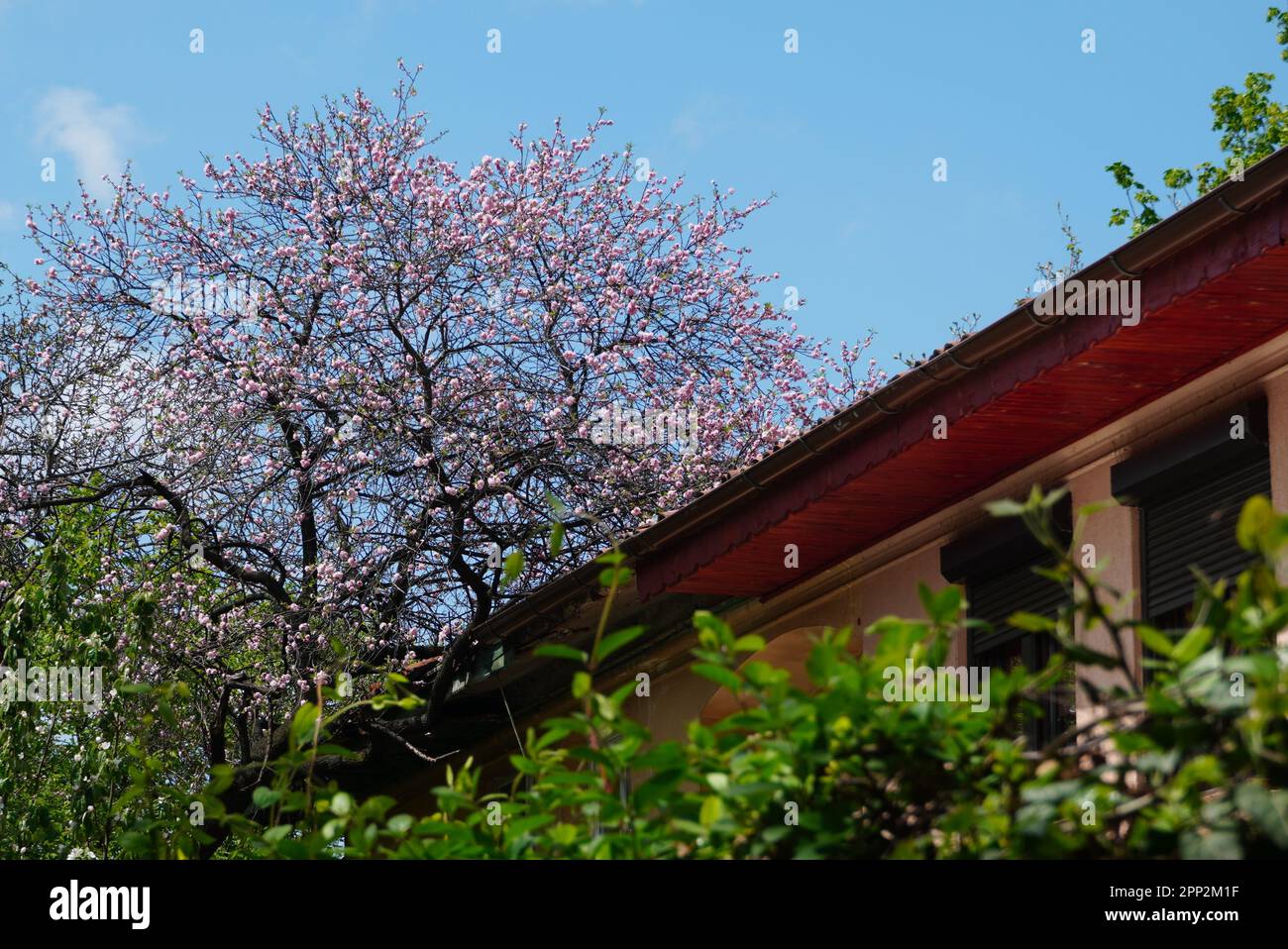 Windows green pastel pastels hi-res stock photography and images - Alamy
