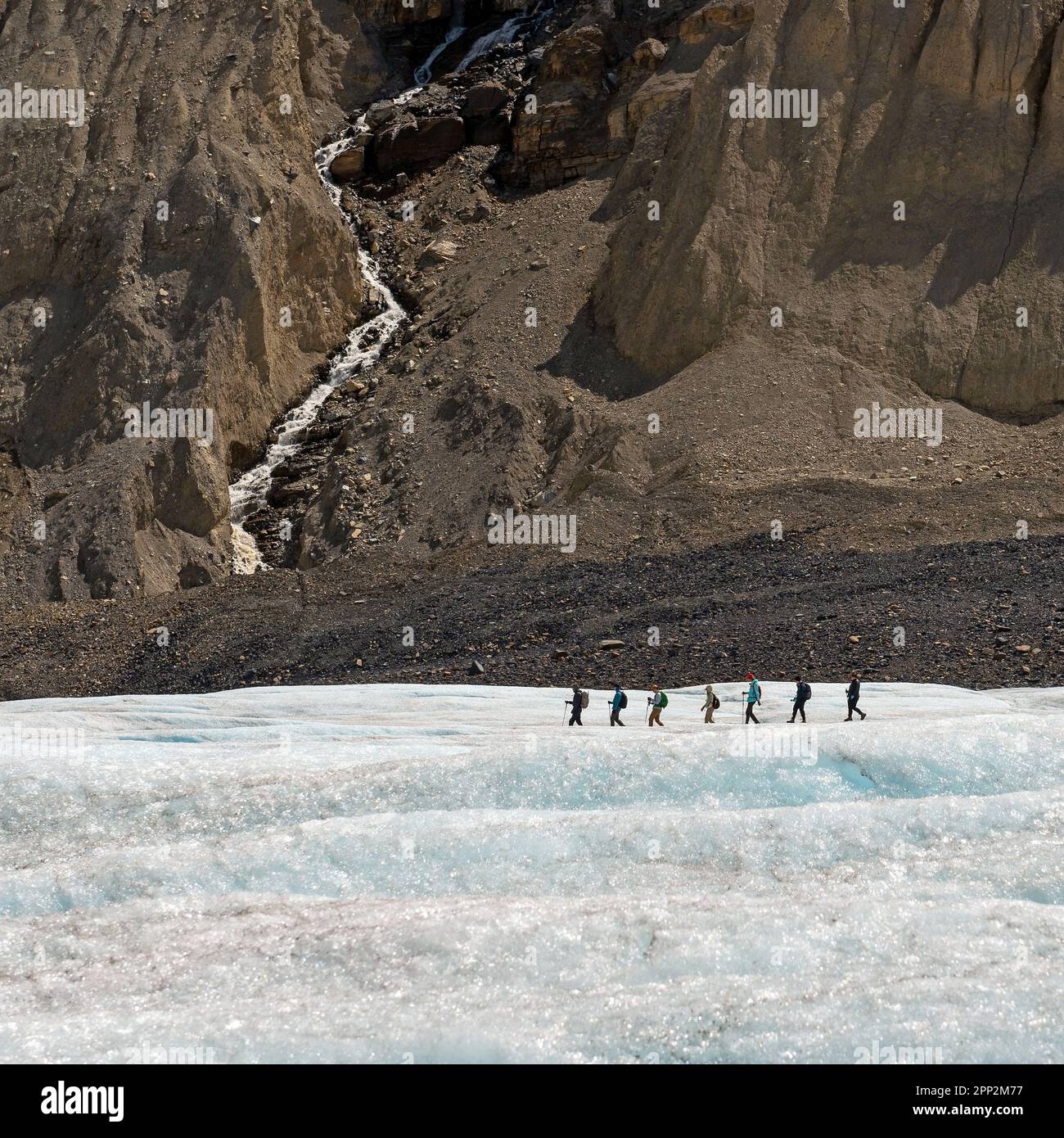 People hiking the Athabasca glacier, Jasper national park, Canada Stock ...