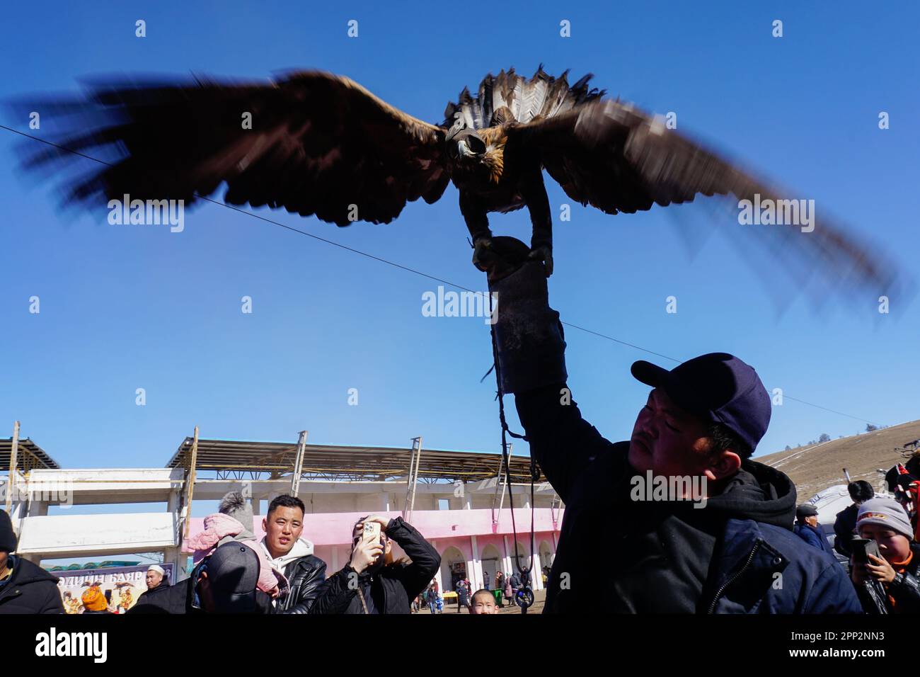 Tuguldur Odkhuu, an eagle hunter, displays his bird at the first eagle ...