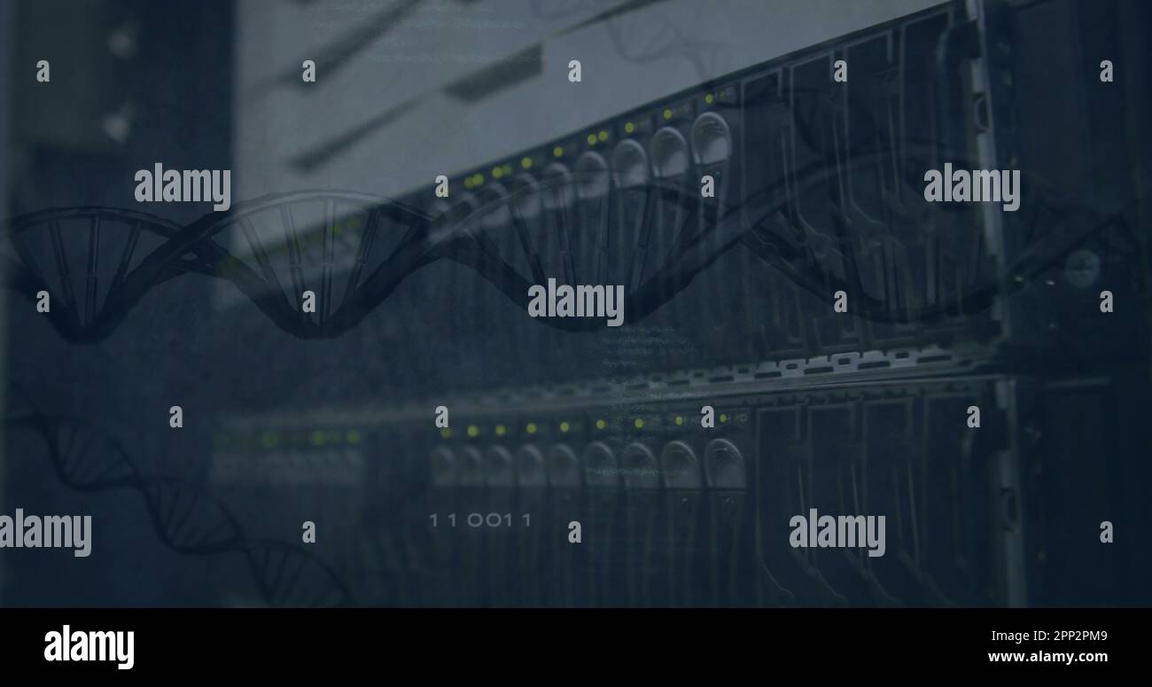 Composition of dna strand over server Stock Photo - Alamy Composition of dna strand over server Stock Photo - Alamy