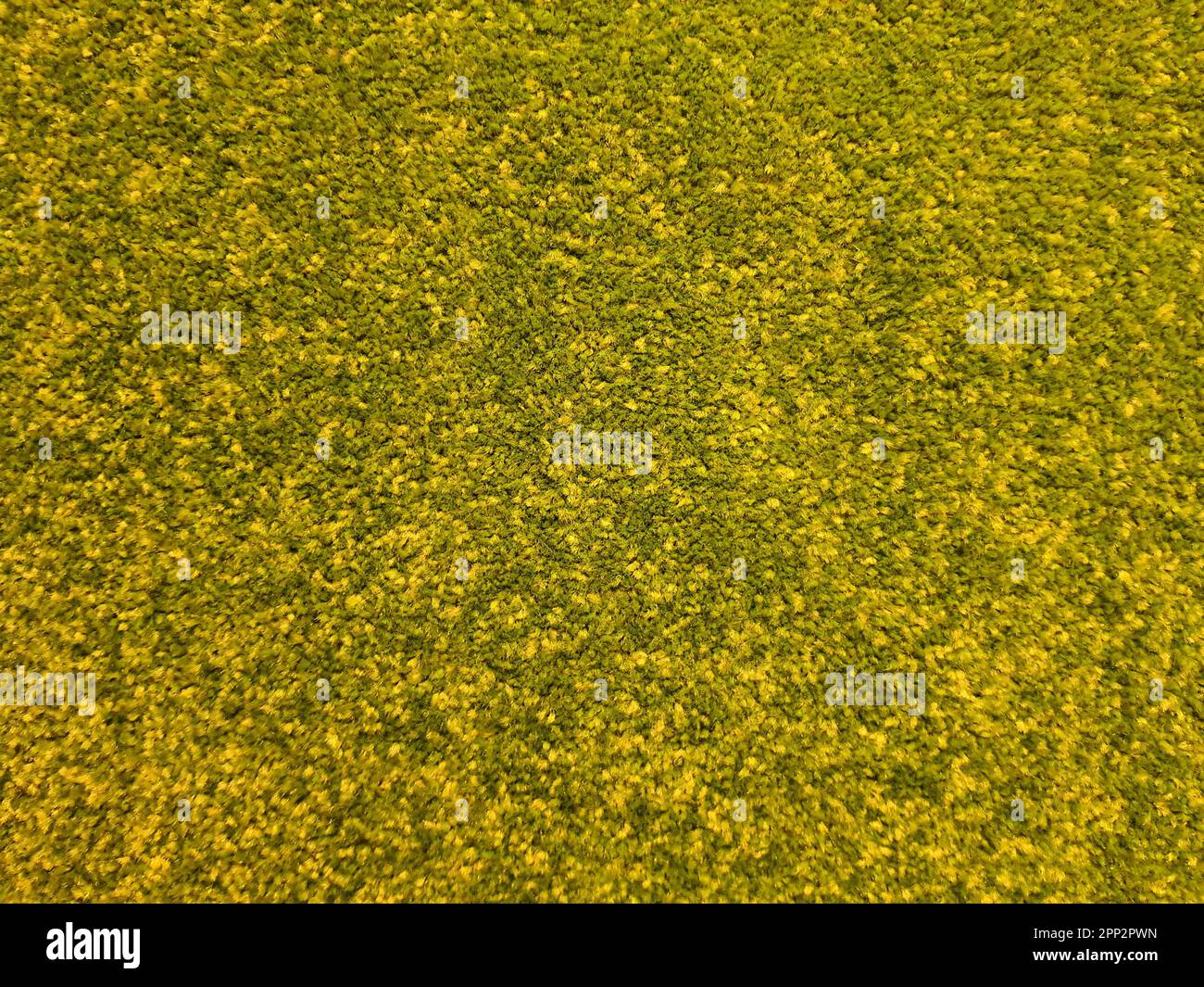 Modern persian carpet pattern hi-res stock photography and images - Alamy