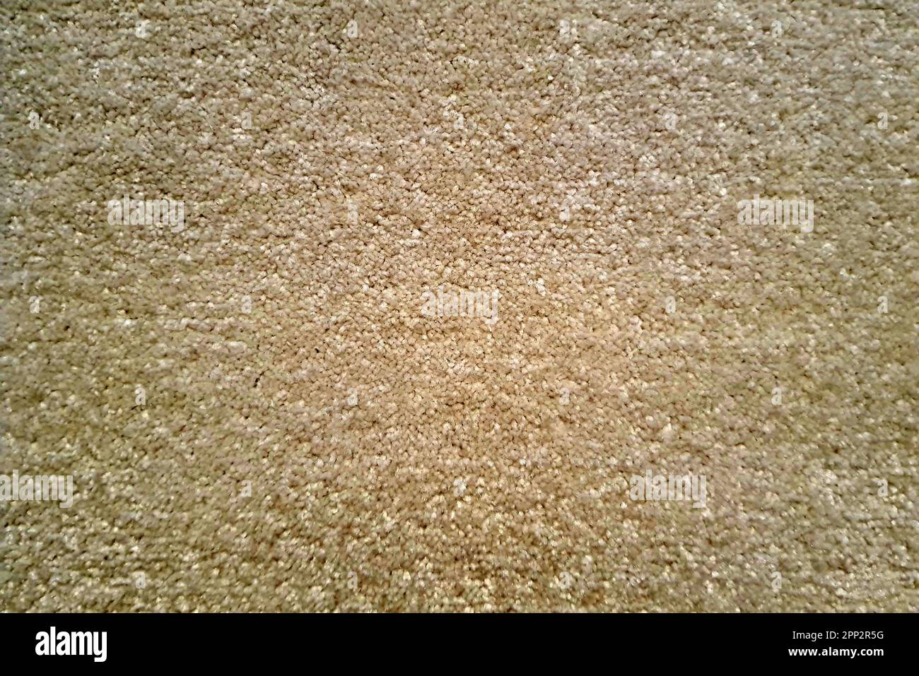 fluffy beige carpet texture background, Low close view Stock Photo - Alamy