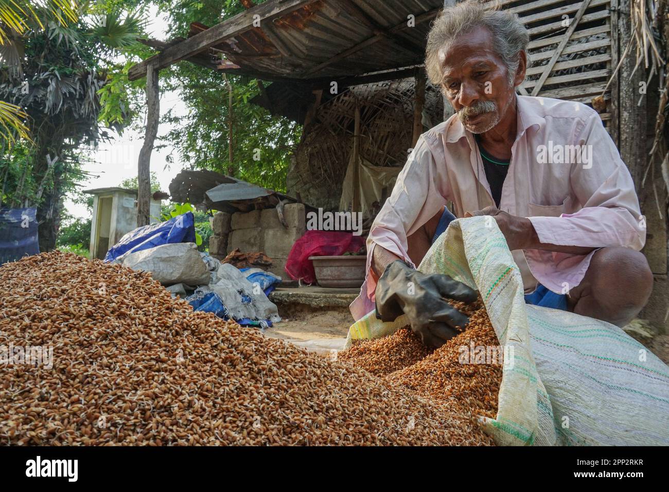 Nov 20 2022 hi-res stock photography and images - Alamy