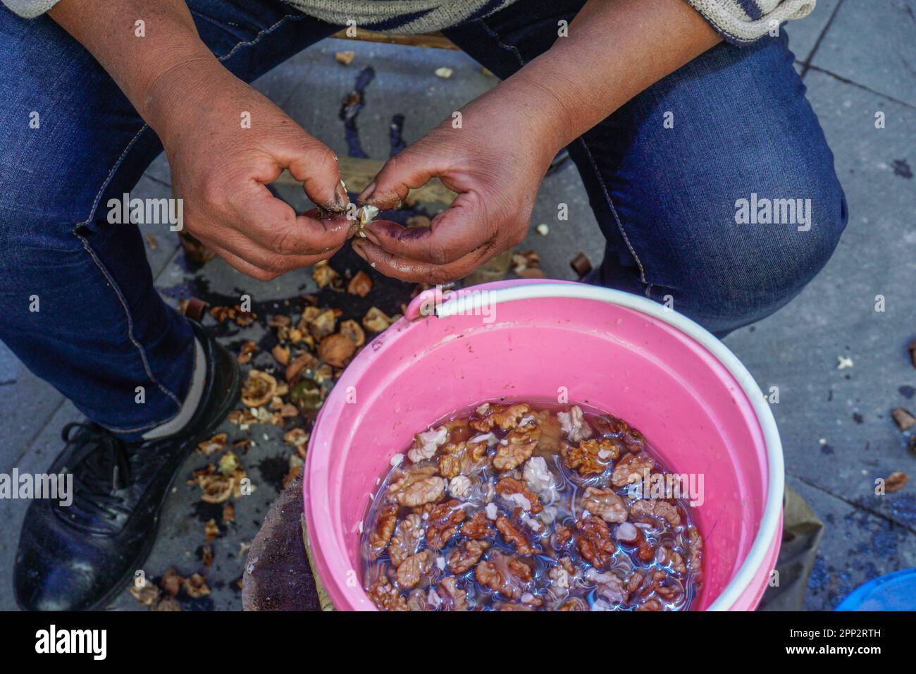 A walnut-shelling contestant removes a nutshell in San Pedro ...