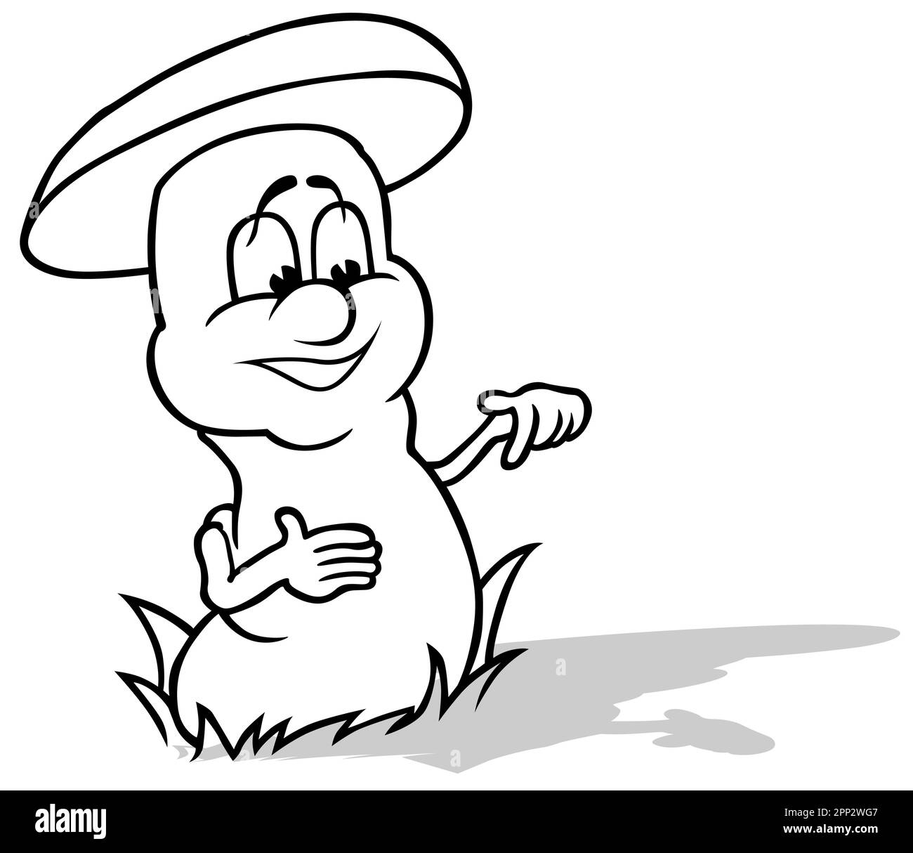 Pin mushroom Cut Out Stock Images & Pictures - Alamy