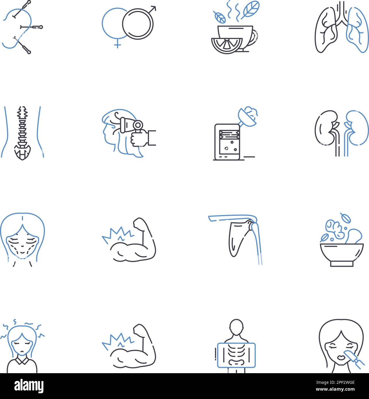 Knowledgeable strength line icons collection. Wisdom, Expertise ...