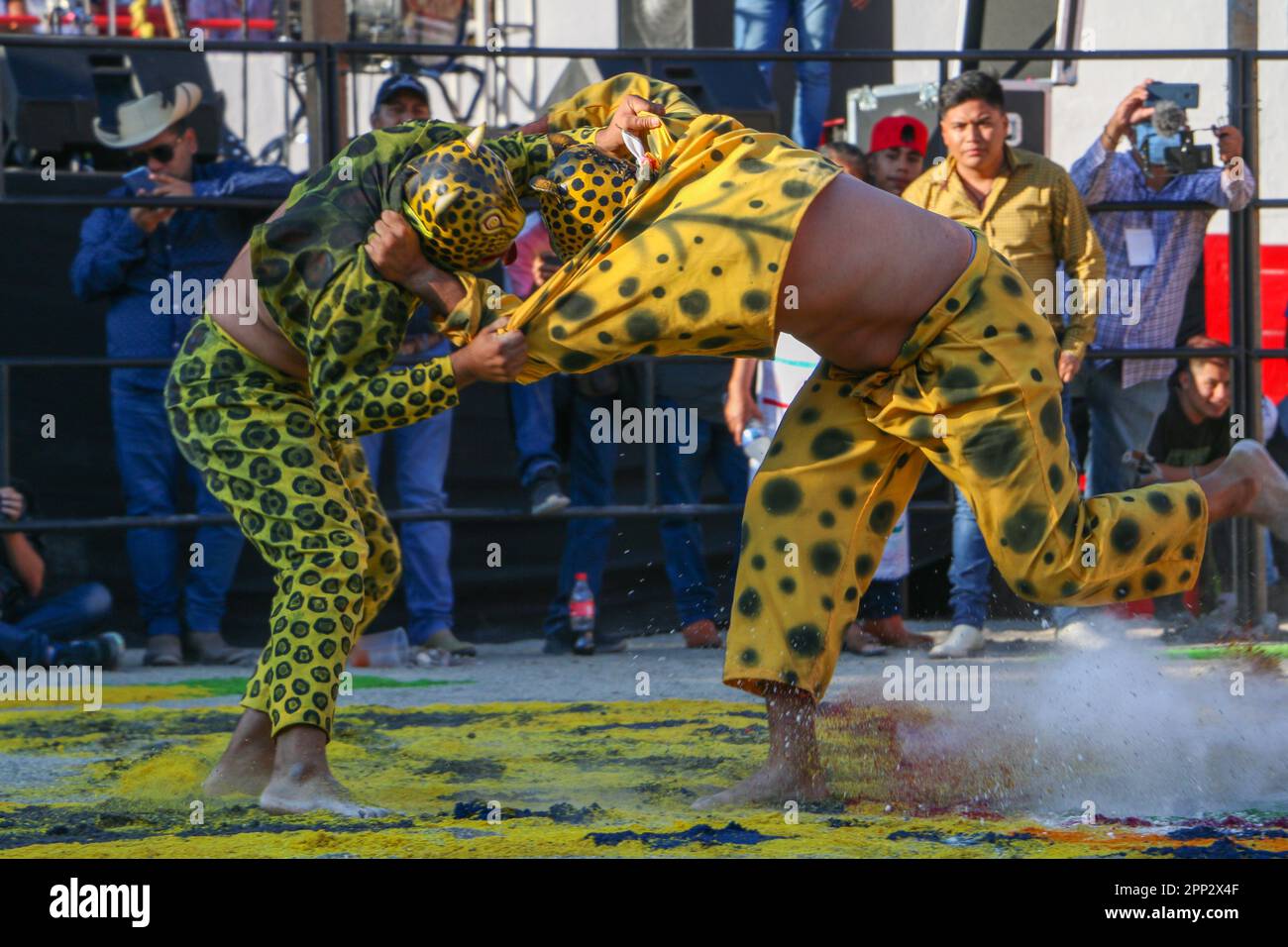 Two men dressed as tigers fight to win the Porrazo de Tigre (Whack of ...