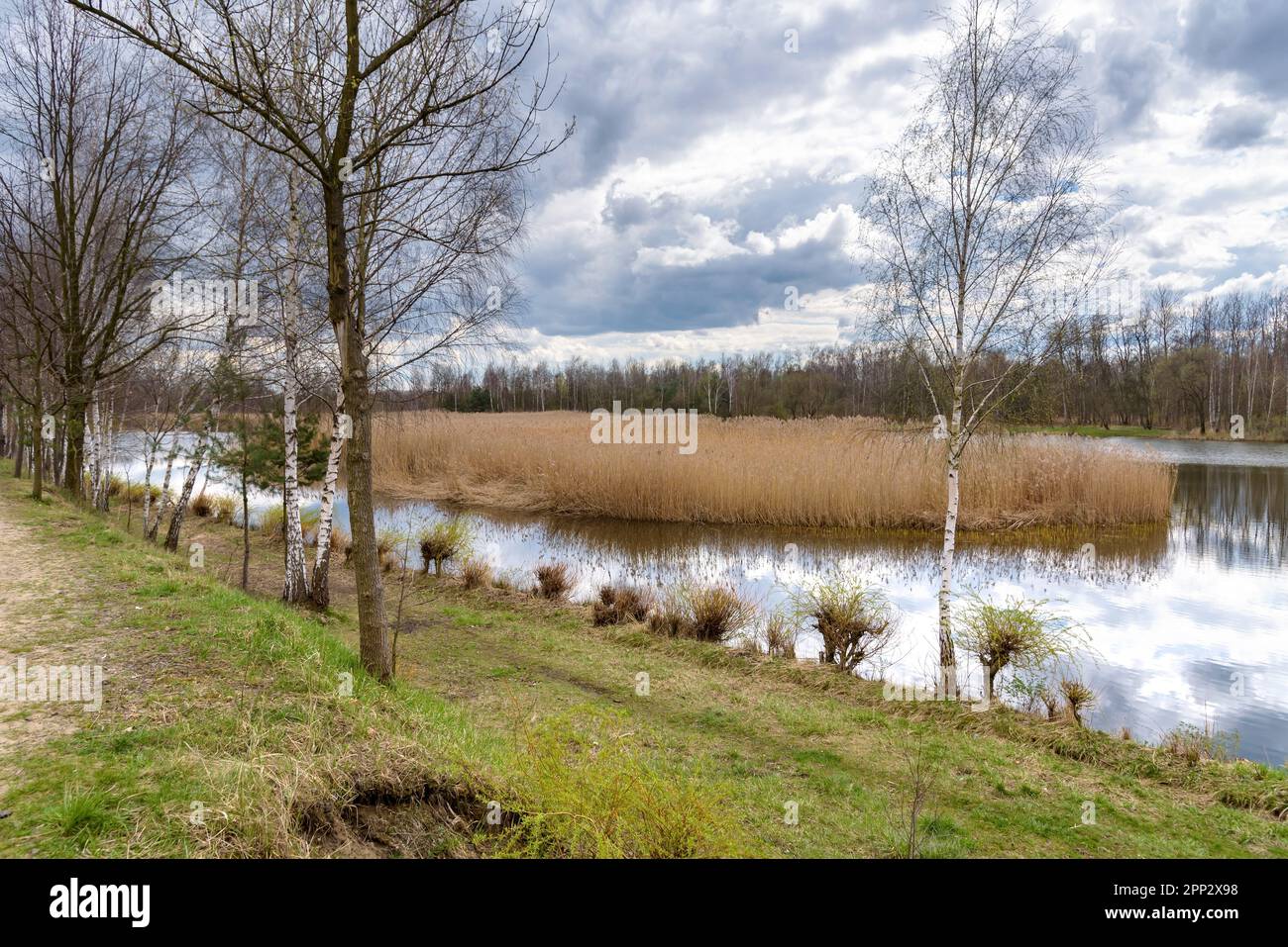 Spring view of the Borki lake on the border between Sosnowiec and ...