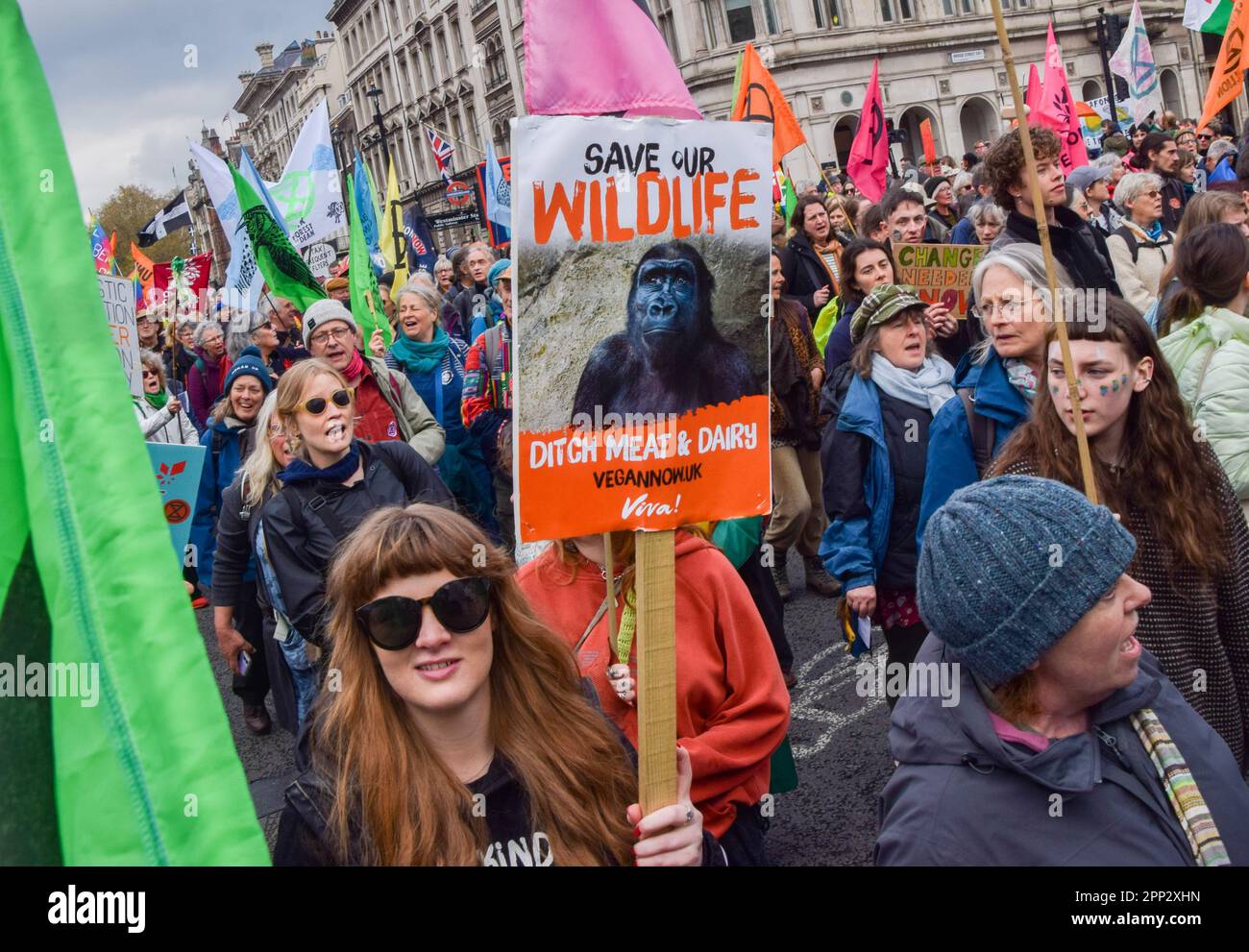 Save our wildlife protest uk hi-res stock photography and images - Alamy