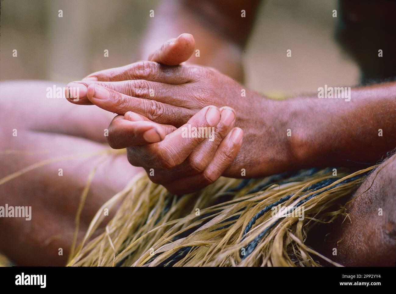 Closeup of Fijian Warrior's Hands, Pacific Harbour Cultural Centre ...