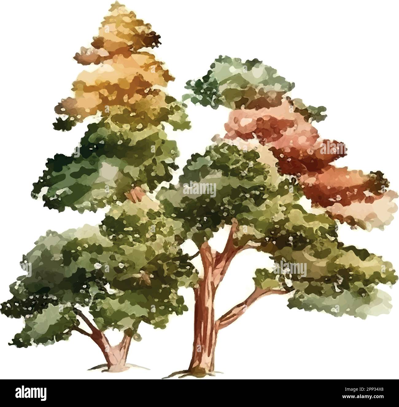 Watercolor tree hand draw vector nature painting Stock Vector Image ...