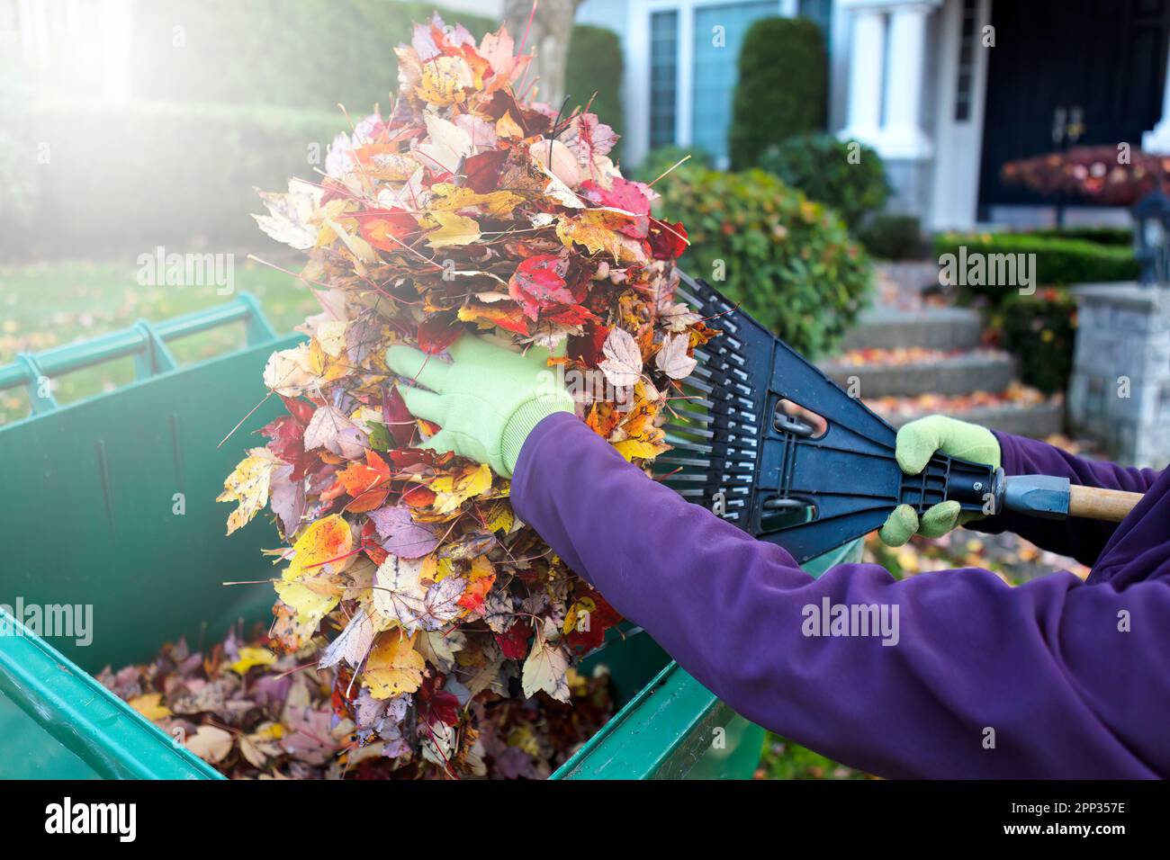 Hand leaf rake hi-res stock photography and images - Alamy