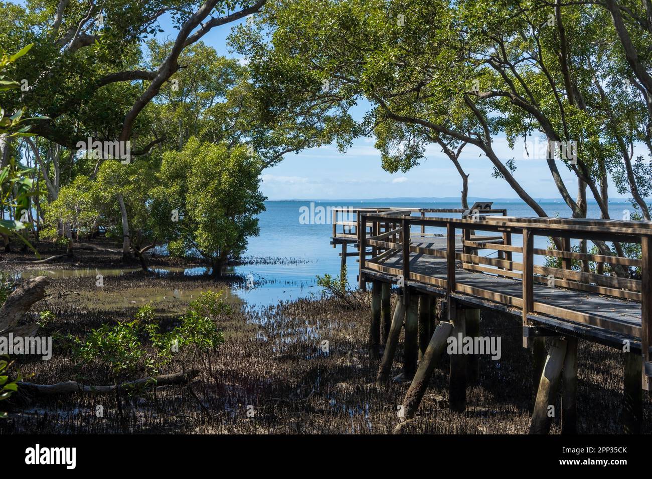 Boardwalk in the mangrove wetlands with a view to the sea beyond at ...