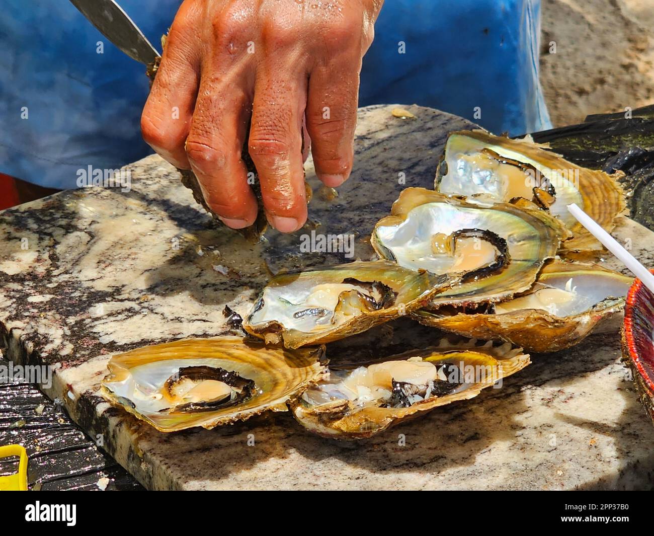 With strong, calloused hands and a weathered face, the traditional man ...