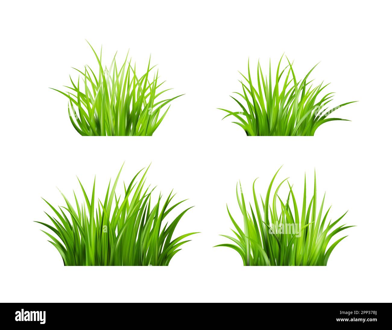 Realistic green grass. Bushes of fresh greens. Spring meadow Stock ...