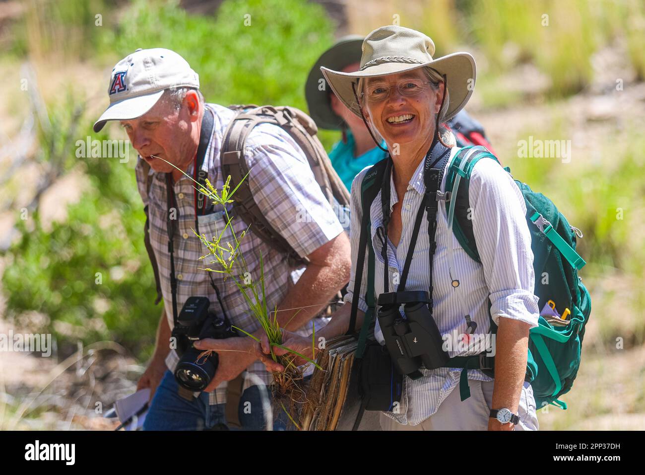 Sue Carnahan . Expedition of biologists and scientists from MEX and USA ...