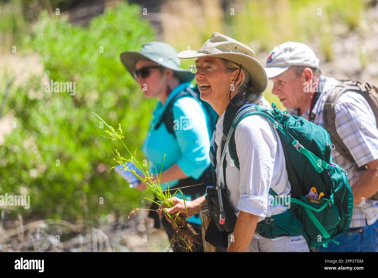 Sue Carnahan . Expedition of biologists and scientists from MEX and USA ...