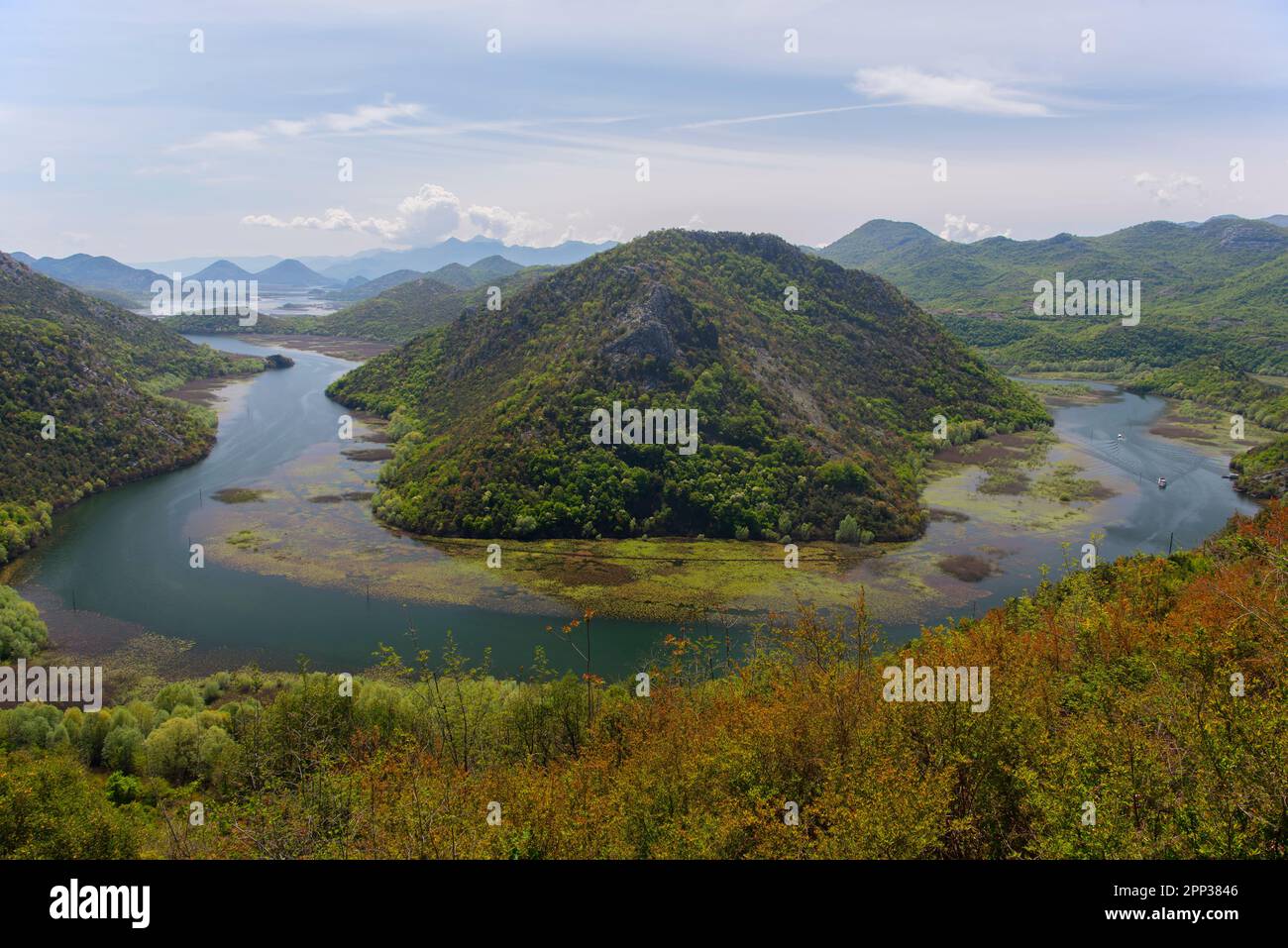 Lake skadar birds hi-res stock photography and images - Alamy
