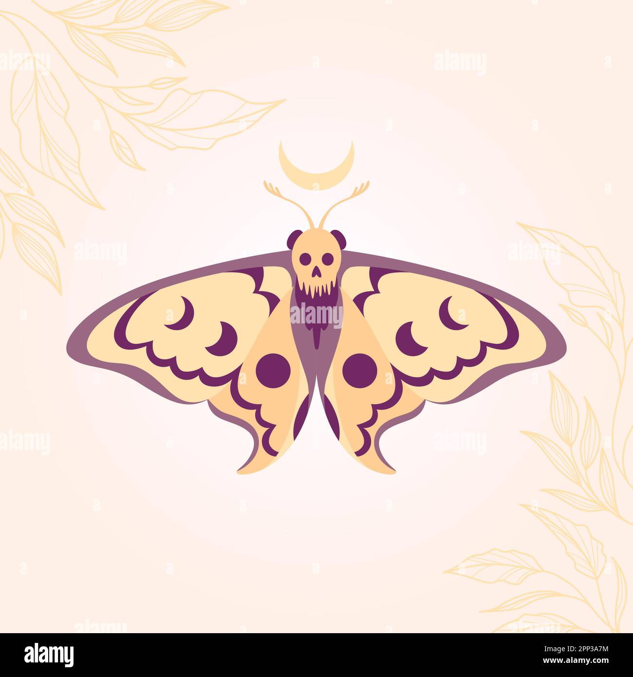Vector drawing of a night butterfly with a skull. Hawk hawk with a ...