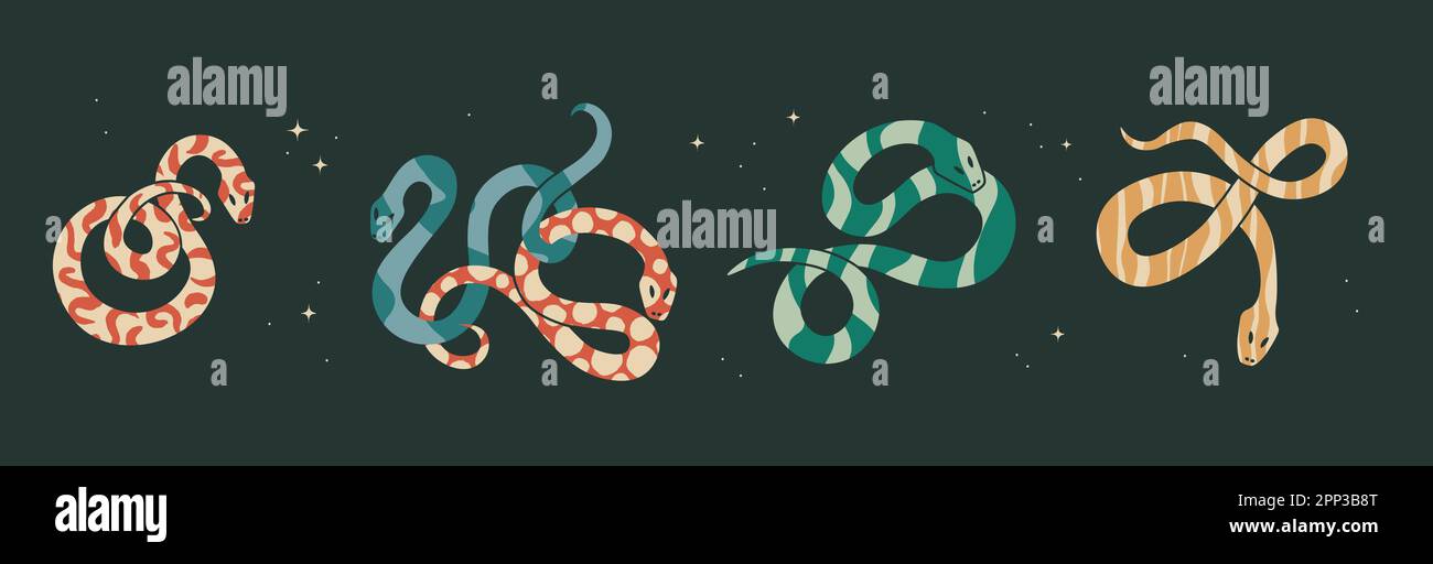 Cute twisted snakes with an abstract print inside. Flat vector ...