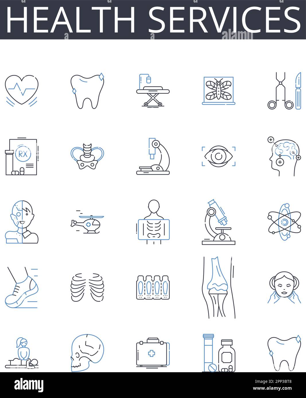 Health services line icons collection. Abundance, Vitality, Supple ...