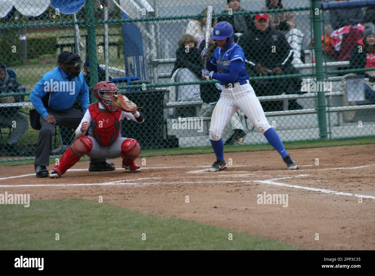 St louis university softball hi-res stock photography and images - Alamy
